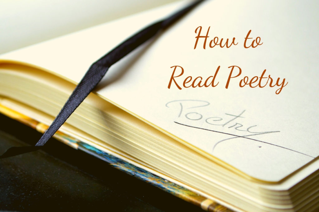 How to Read Poetry